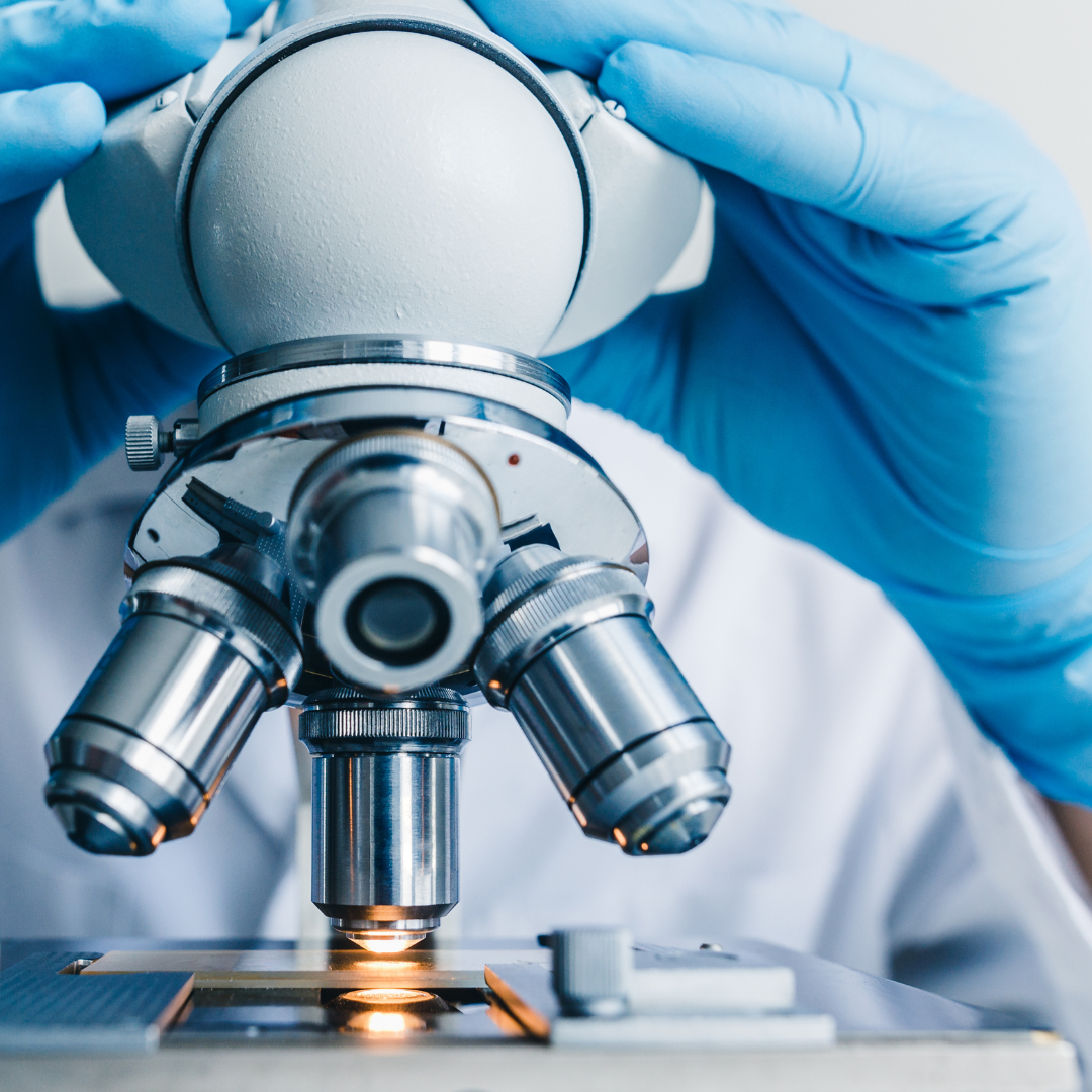 Antimicrobial Resistance: One Health Approach in the EU & the UK