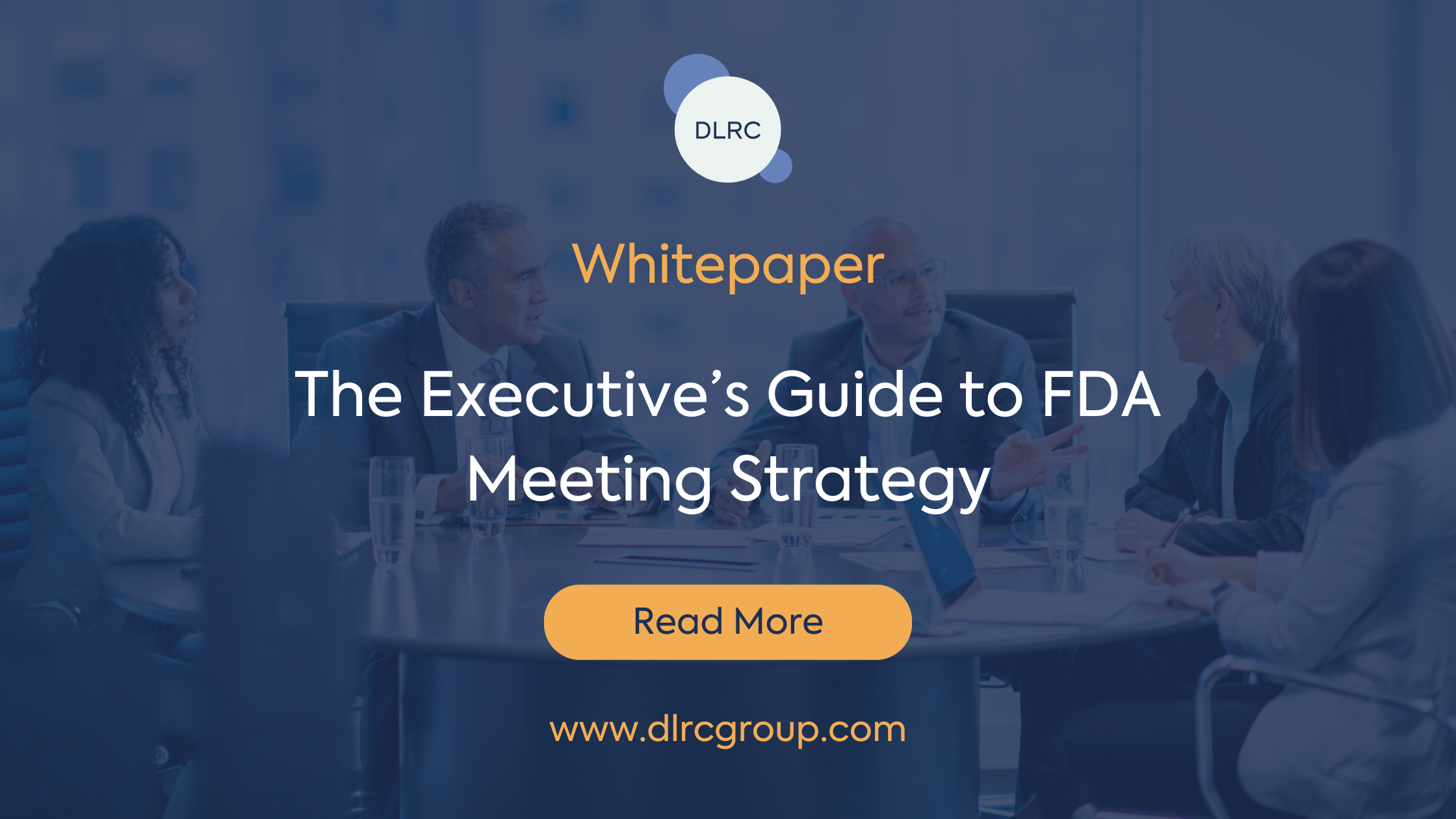 The Executive's Guide to FDA Meeting Strategy